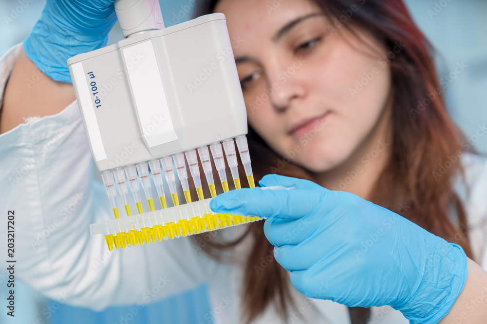 Woman technician with multipipette in genetic laboratory PCR research ...