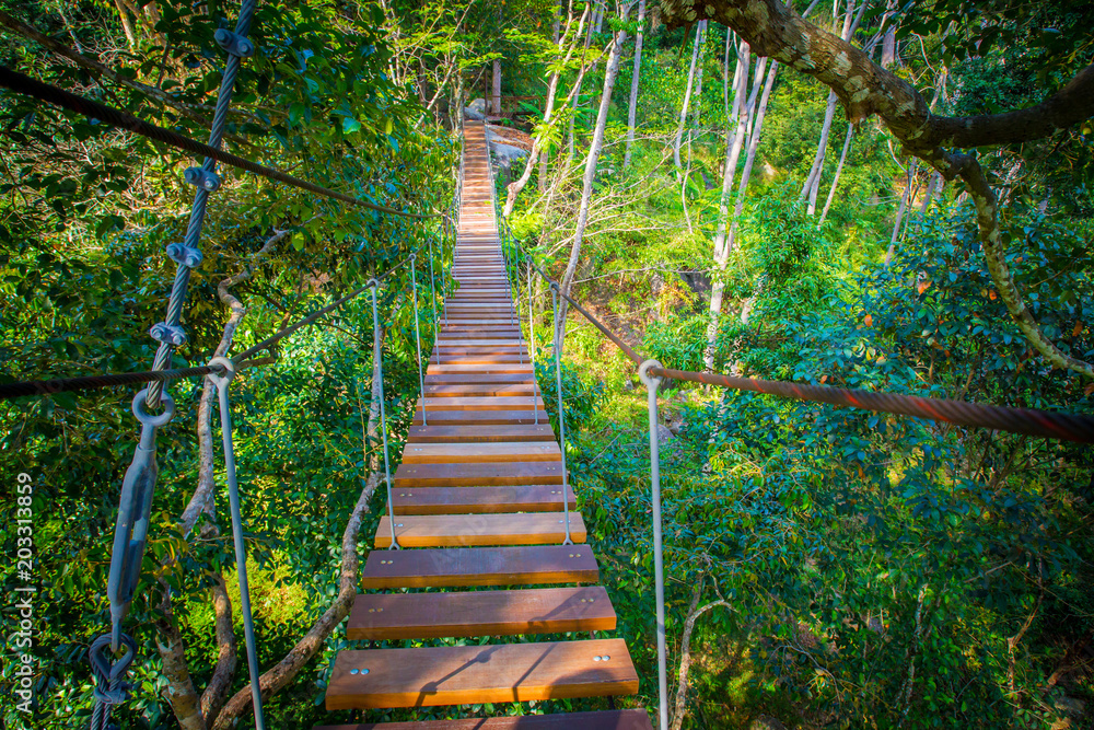 Overgrown in the green suspension bridge. A bridge from tree to tree ...