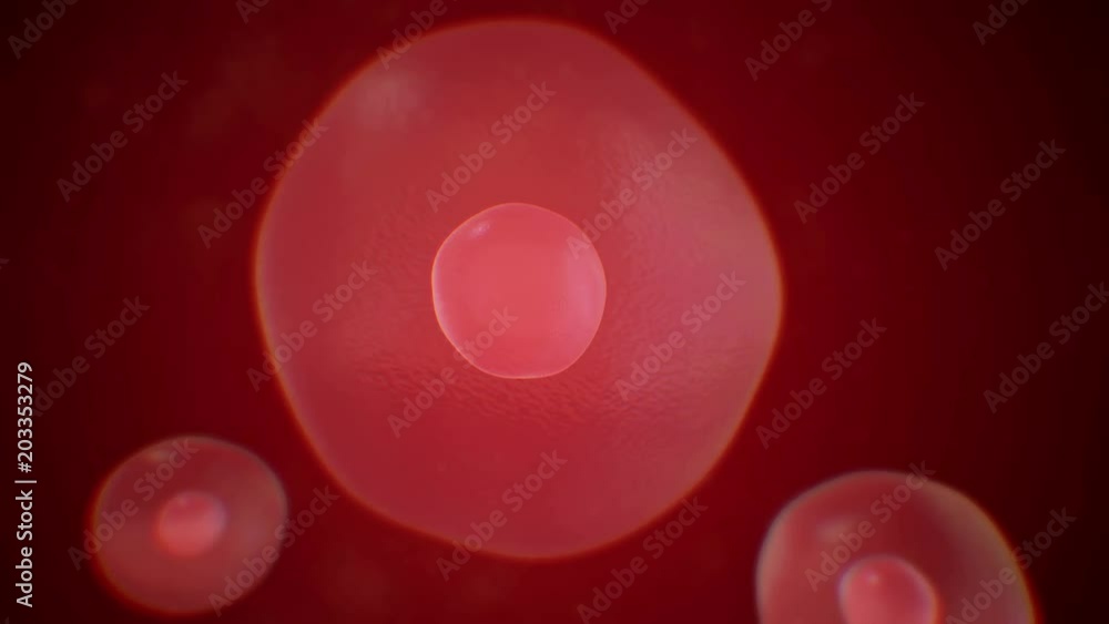 Realistic moving cell, bacteria or virus under microscope. Digital ...
