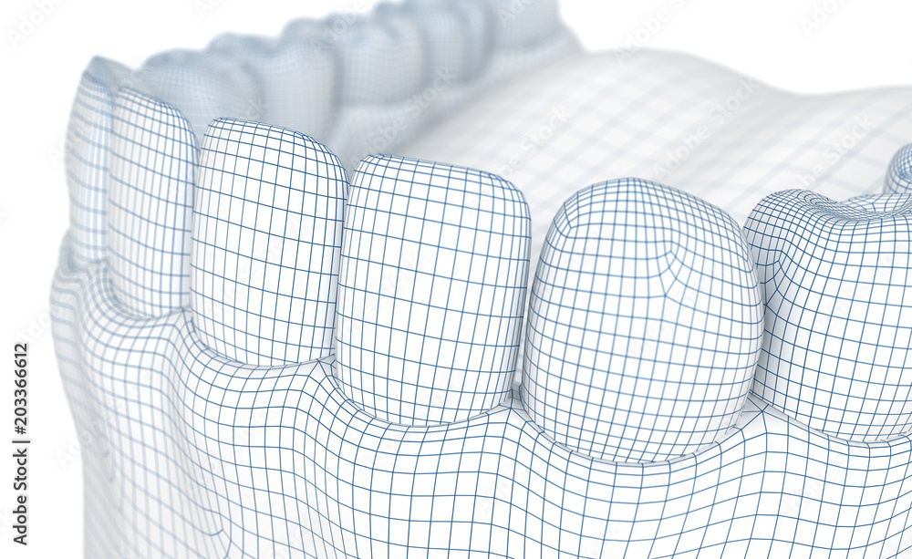 Mouth gum and teeth. Wire 3d model illustration Stock Photo | Adobe Stock