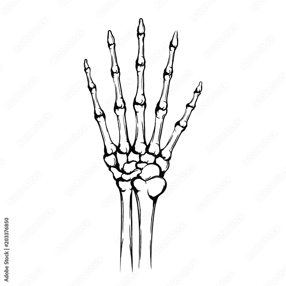 Hand of the skeleton with joint and five fingers. Give me five gesture ...