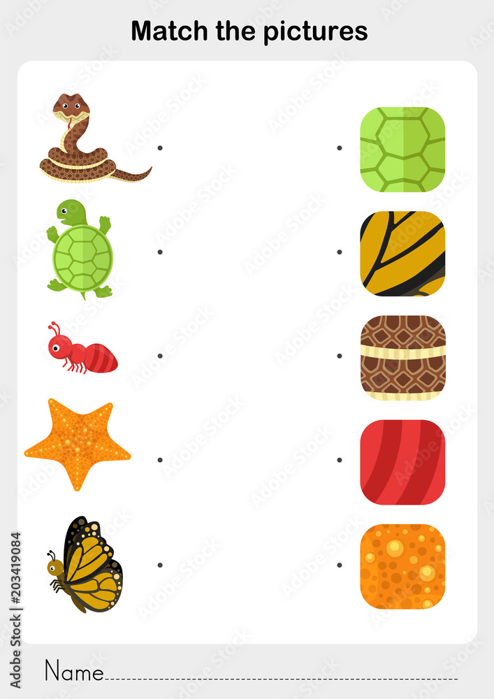 Match the picture animal fur and skin pattern. Worksheet for education ...