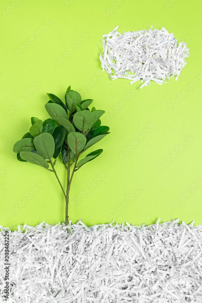 Green tree growing in recycled shredded paper Stock Photo | Adobe Stock