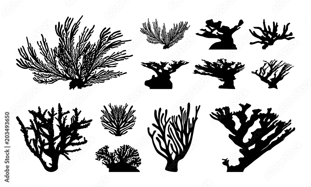 Set of Abstract Coral silhouette vector illustration Stock Vector ...