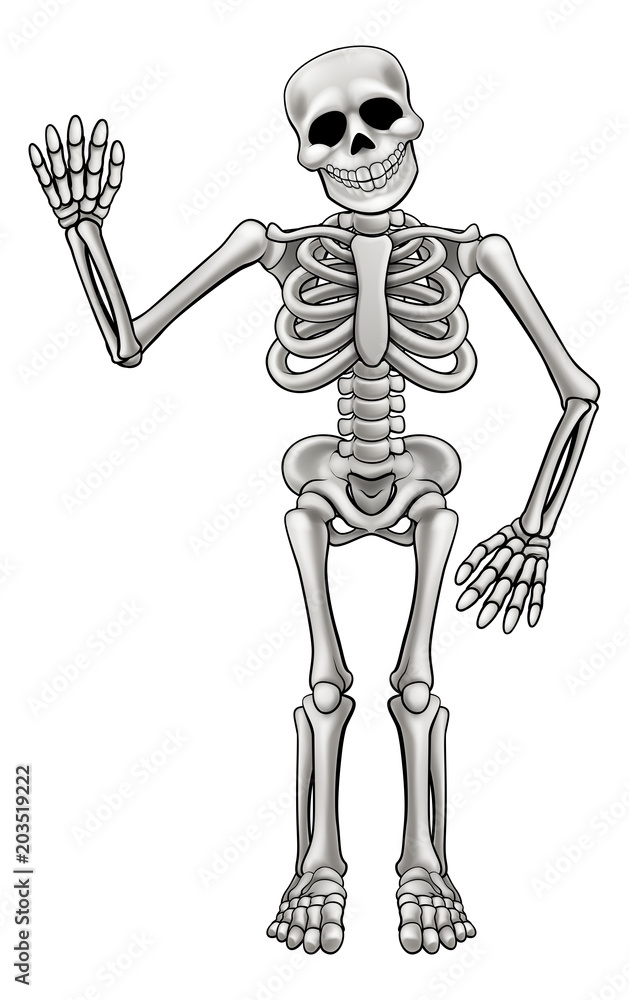 Cartoon Skeleton Stock Vector | Adobe Stock