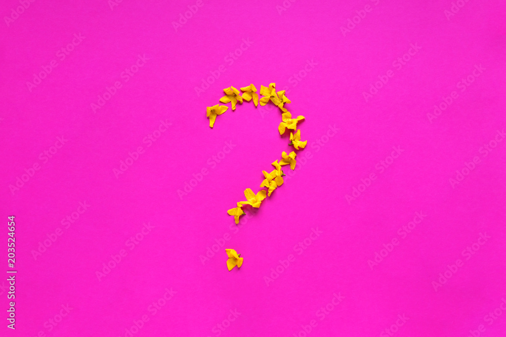 Question Mark out of Flowers Colorful Hot Pink Background Stock Photo ...