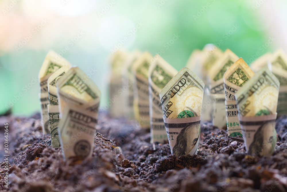 Money On Ground