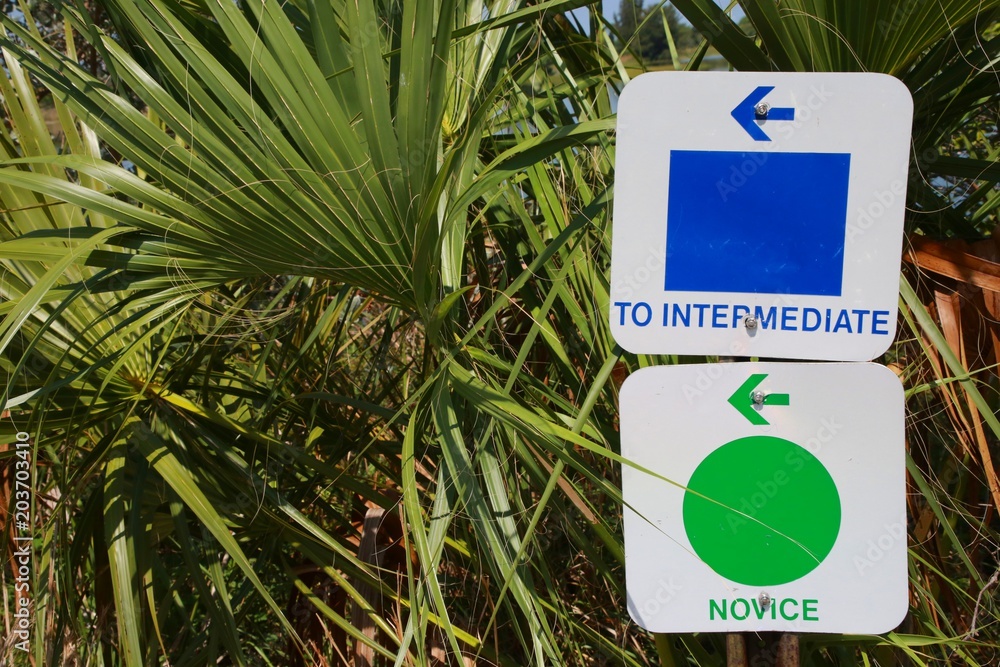 Blue and White To Intermediate with Arrow, Green and White To Novice ...