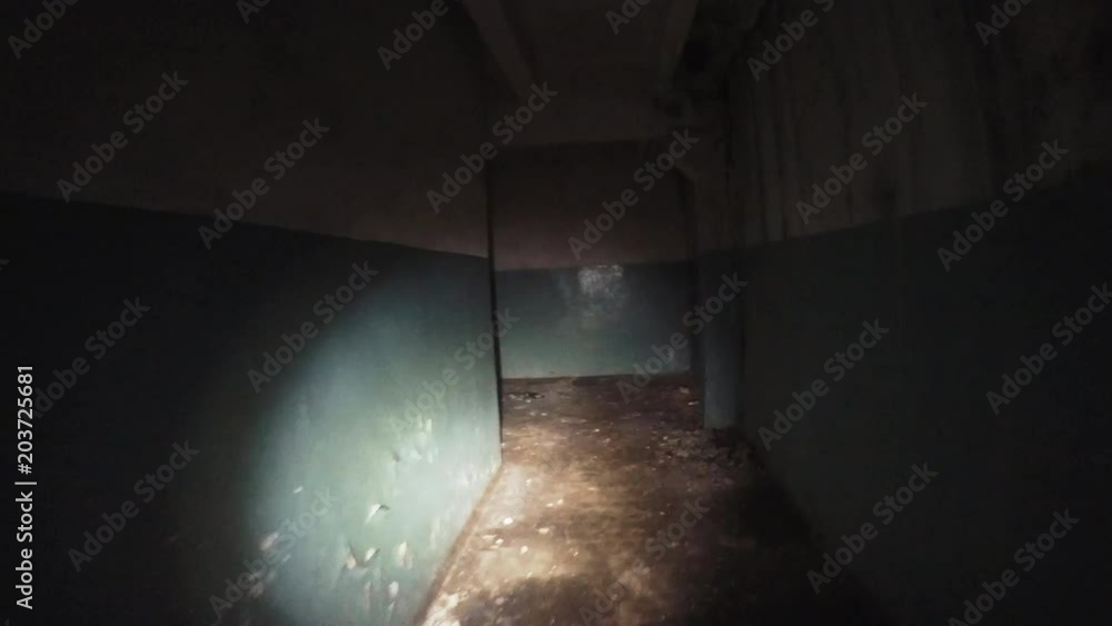 Moving through dark creepy corridor. First person view, going with ...