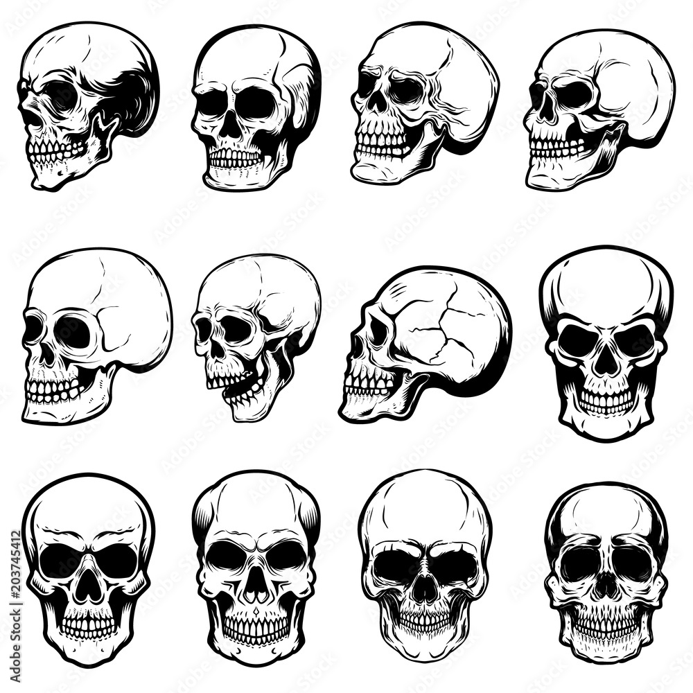 Set of human skull illustrations on white background. Design element ...