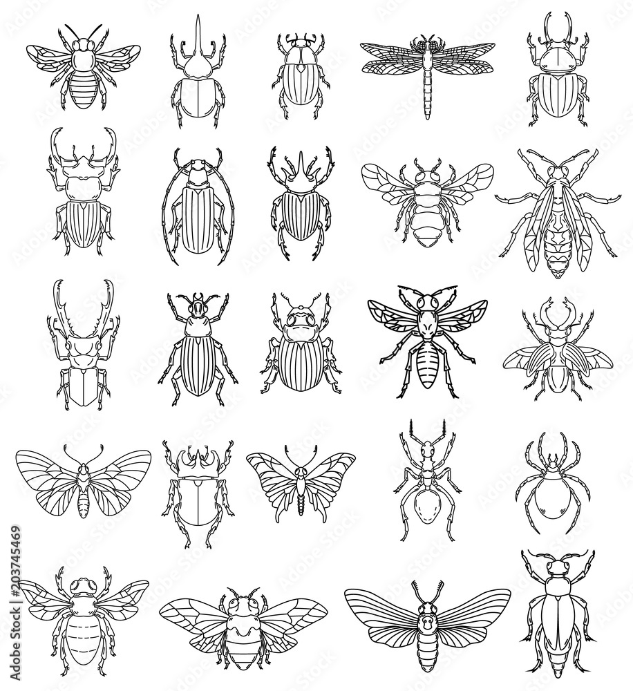 Set of insects illustrations on white background. Design elements for ...