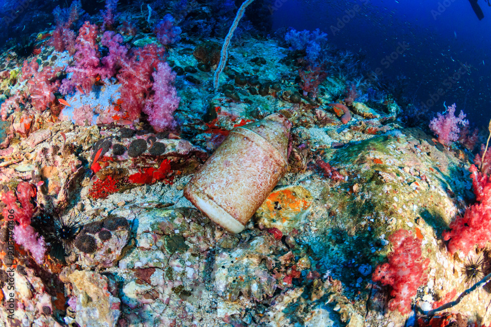 Polluted Coral Reefs