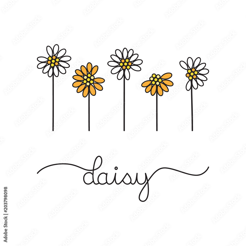 White and orange daisy flowers, vector graphic illustration. Hand drawn ...