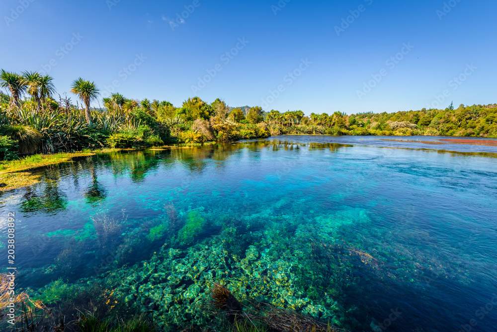 Te Waikoropupu Springs, Pupu Springs, Golden Bay, New Zealand: crystal ...