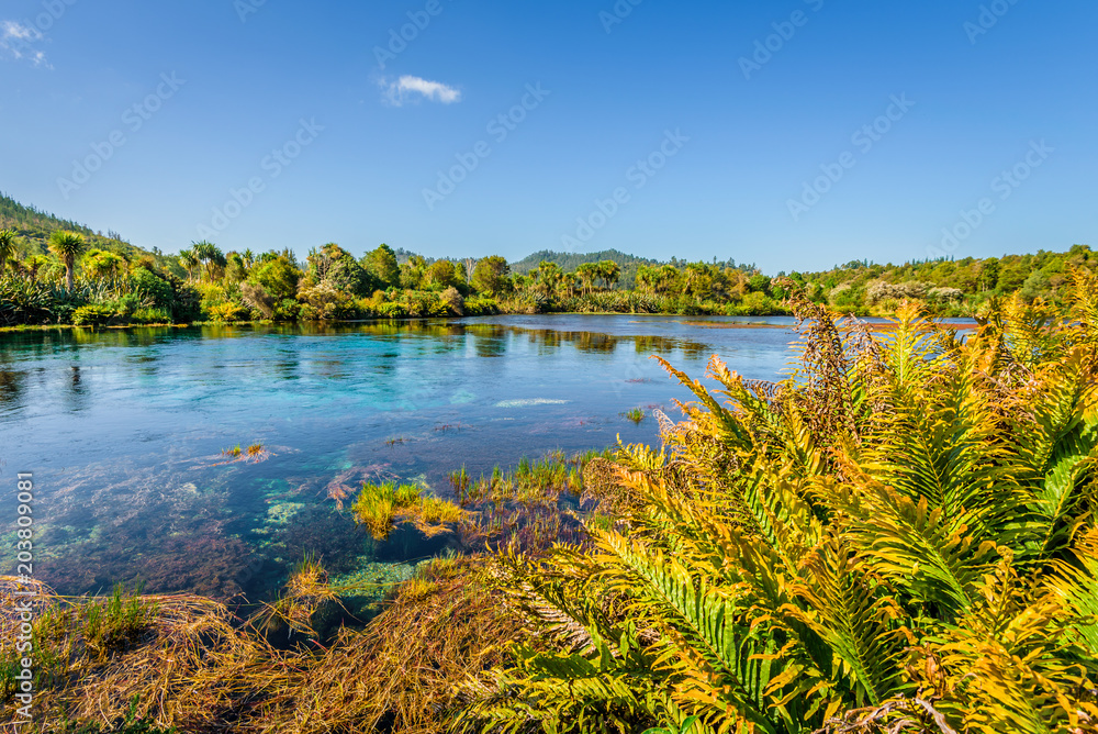 Te Waikoropupu Springs, Pupu Springs, Golden Bay, New Zealand: crystal ...