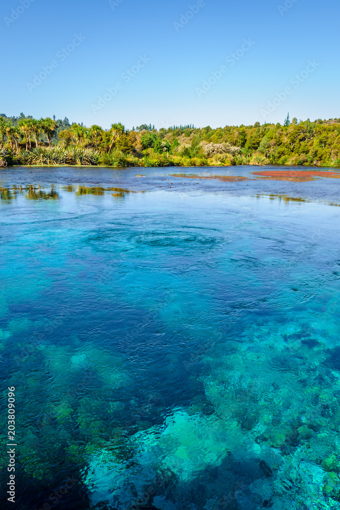 Te Waikoropupu Springs, Pupu Springs, Golden Bay, New Zealand: crystal ...