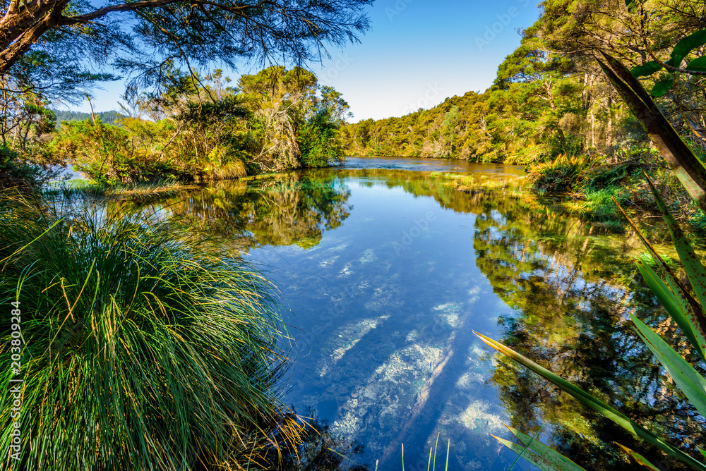 Te Waikoropupu Springs, Pupu Springs, Golden Bay, New Zealand: crystal ...