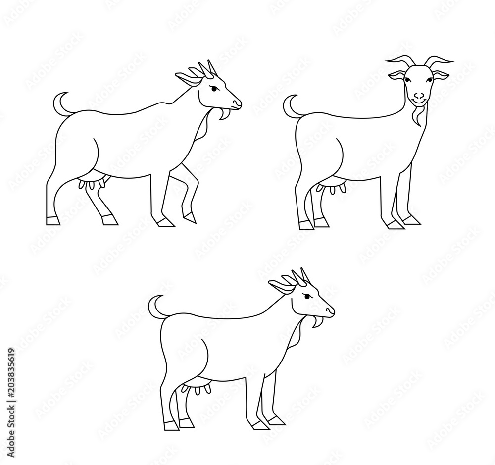 Cute Goat Outline