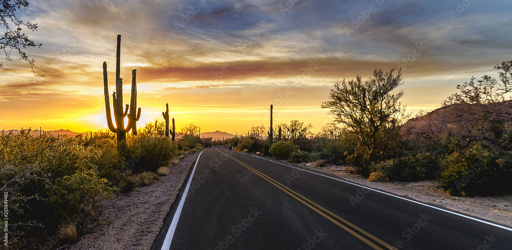 Arizona Desert Sunset Road Stock Photo | Adobe Stock