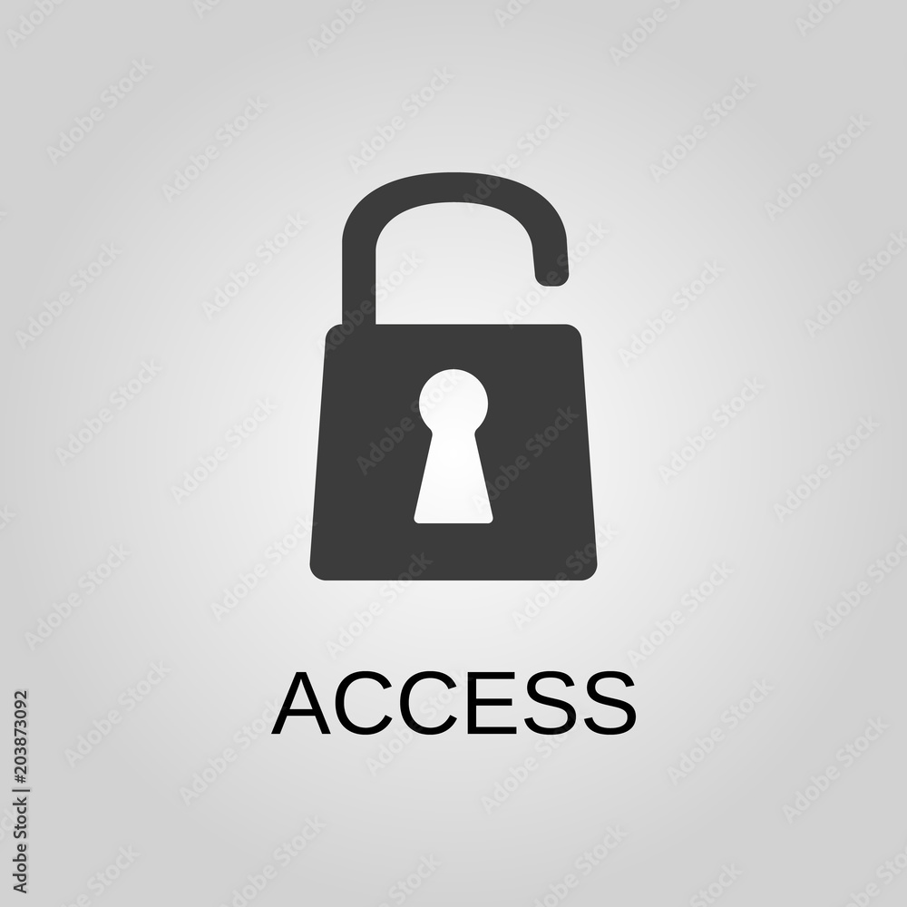 Access Icon