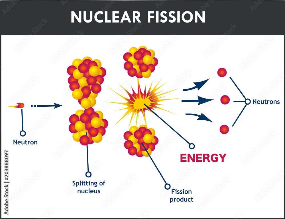 Diagram showing nuclear fission Stock Vector | Adobe Stock