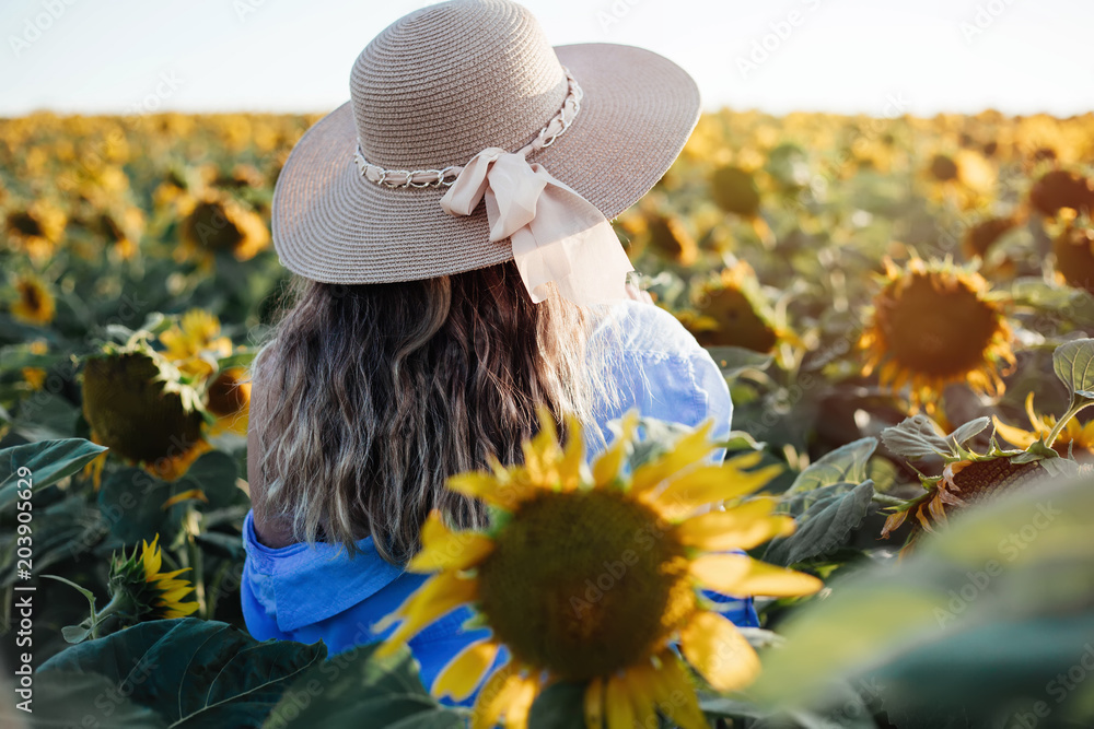 Young woman walking in the field with sunflowers.Beautiful young girl ...