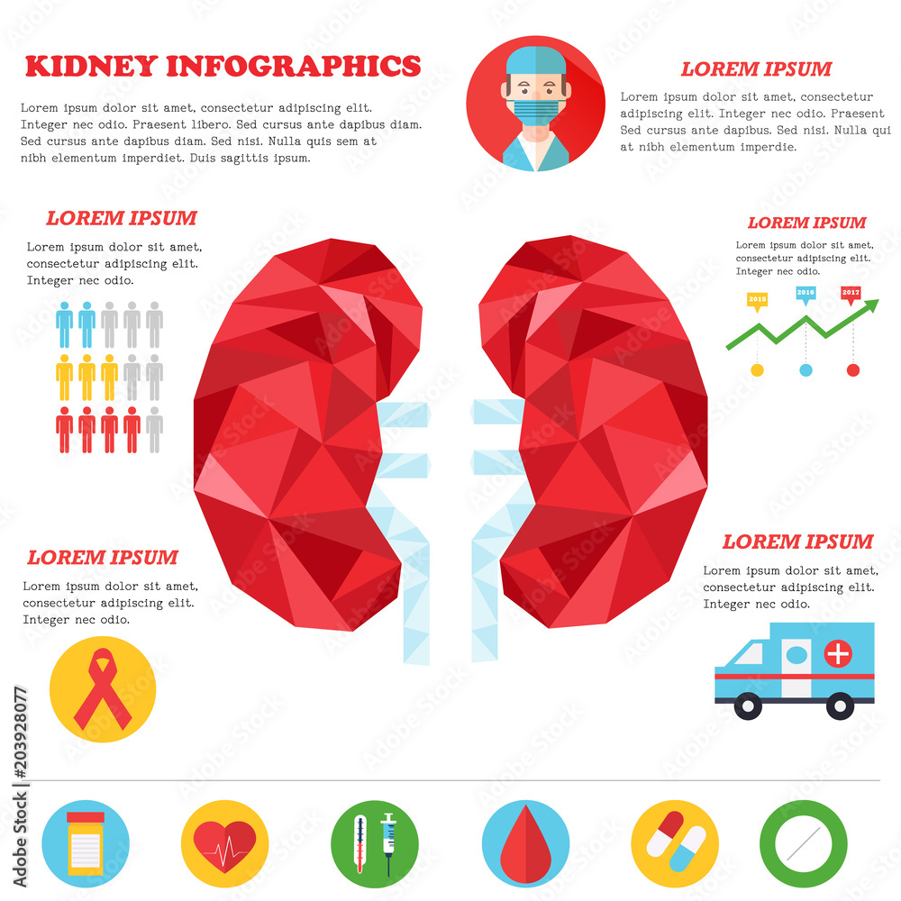 Infographic poster with kidney illustration and medical icons. Stock ...