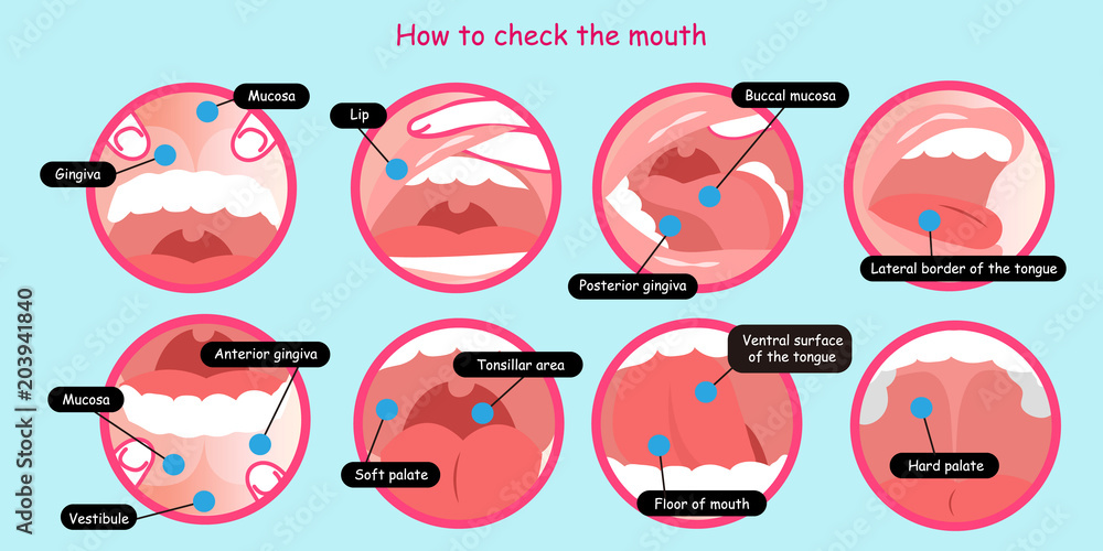Poster how to check the mouth – Wall Art | UkPosters