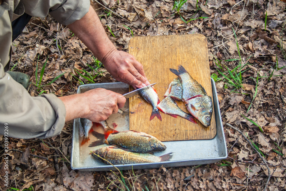 Fish cutting Stock Photo | Adobe Stock