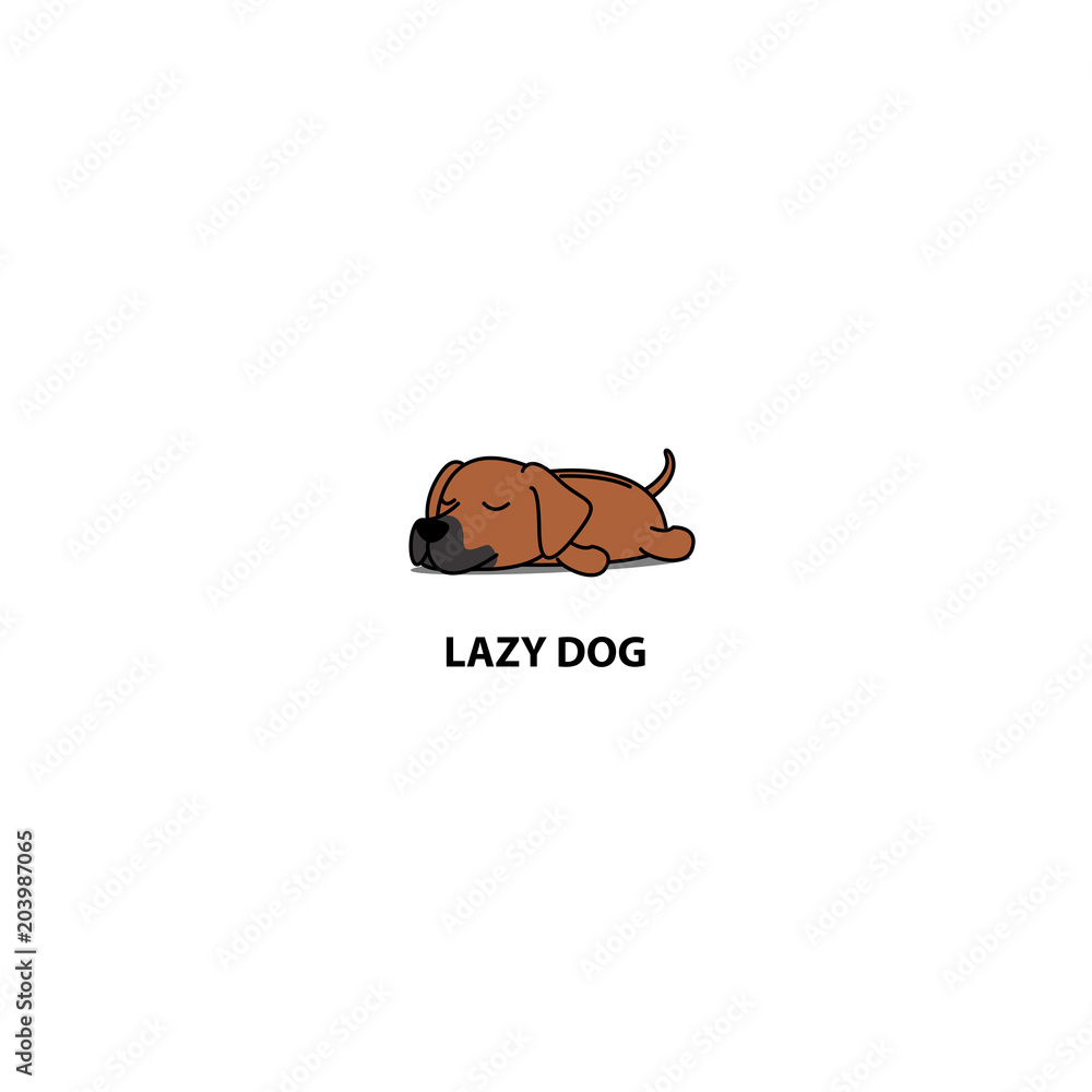 Cute Lazy Dogs