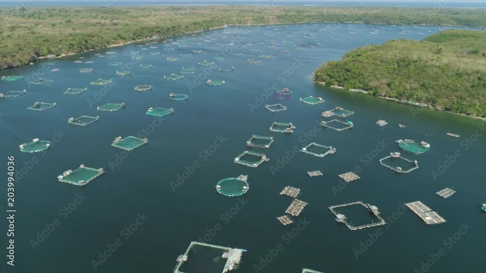 Fish farm with cages for fish and shrimp in the Philippines, Luzon ...