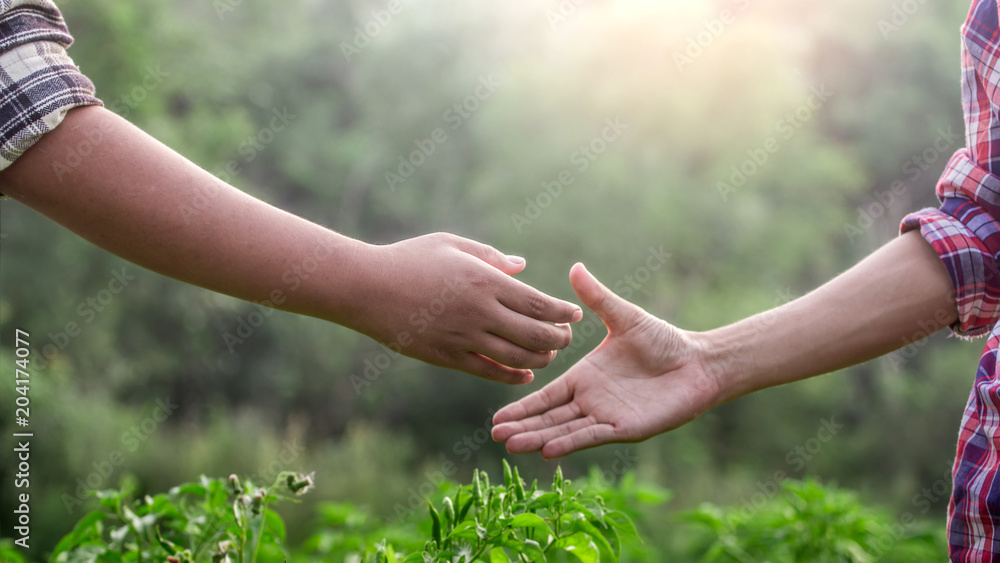 Two farmer standing and ready shaking hands on farm. Stock Photo ...