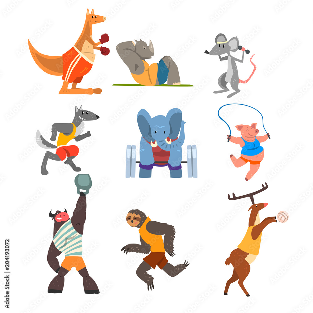Animals doing exercise, kangaroo, hippo, wolf, elephant, pig, bull ...