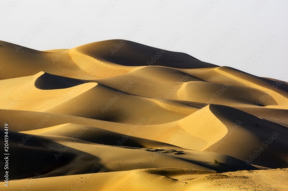 Sand dunes, Liwa Desert, Abu Dhabi, United Arab Emirates, Middle East ...