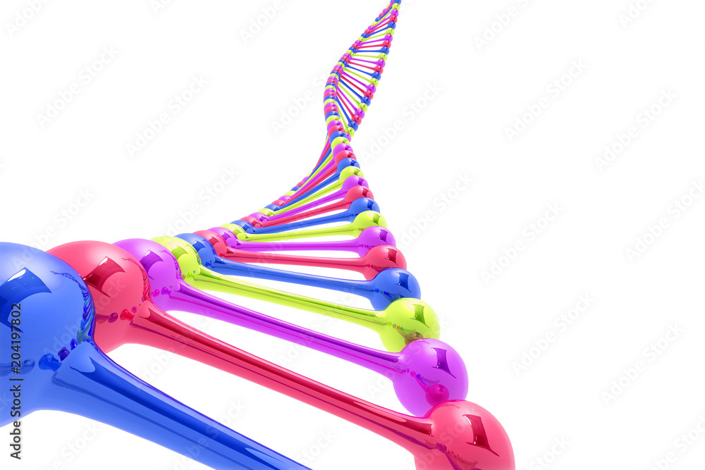 DNA structure Stock Illustration | Adobe Stock