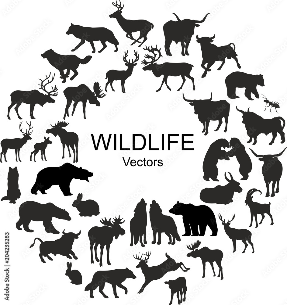 Collection of silhouettes of different species of wild animals Stock ...