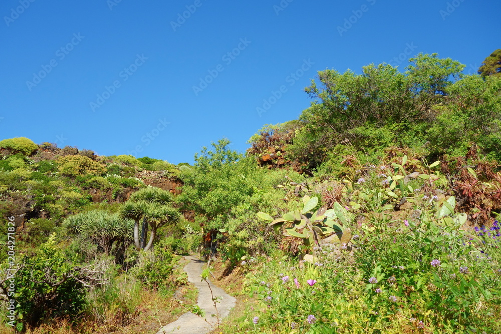 Idyllic exotic scenery on a scenic sunny day with blue sky at the ...