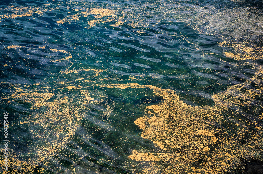 Spring pollen cluster in a water. Pollen floating in a water, caused by ...