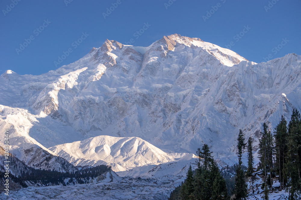 Nanga Parbat covered with white snow and evening sunlight up , Gilgit ...