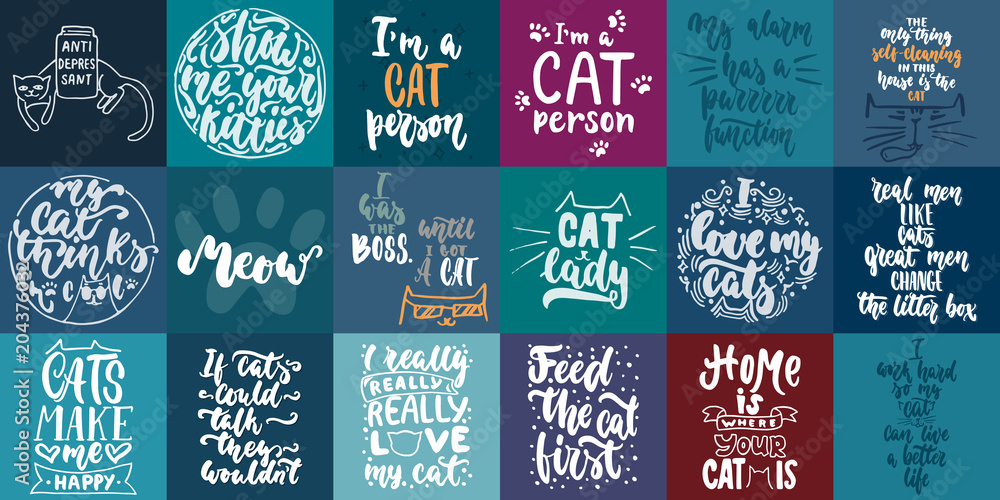Hand drawn lettering greeting cards collections about cats isolated on ...