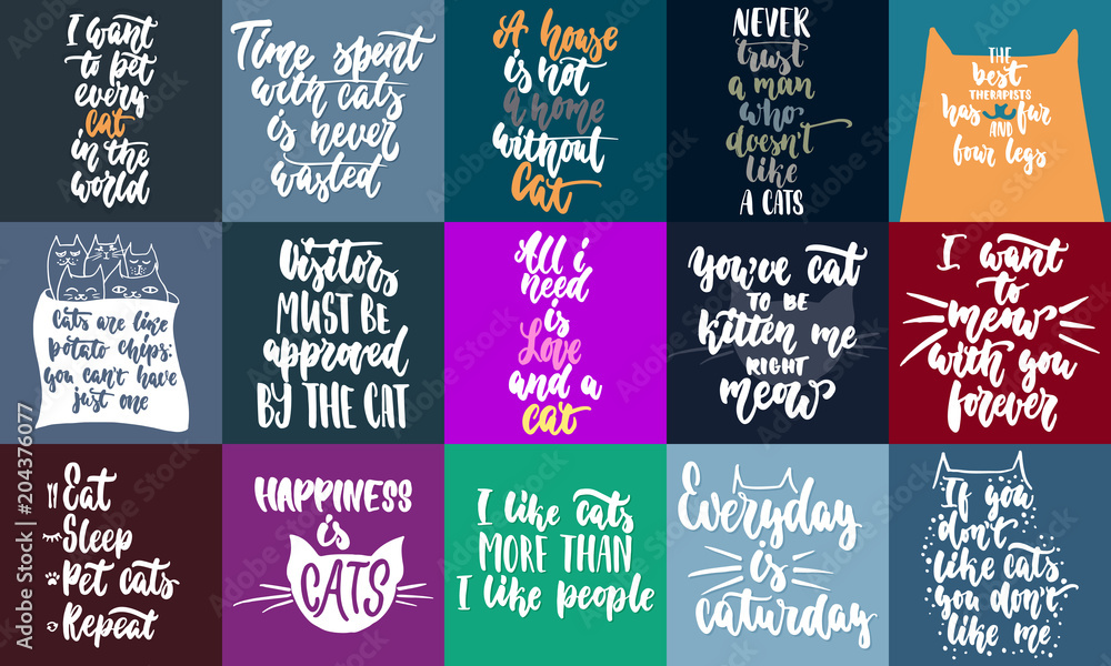 Hand drawn lettering greeting cards collections about cats isolated on ...
