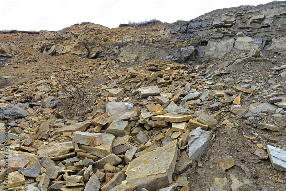 Joggins Fossil Cliffs is a UNESCO Natural World Heritage Site since ...