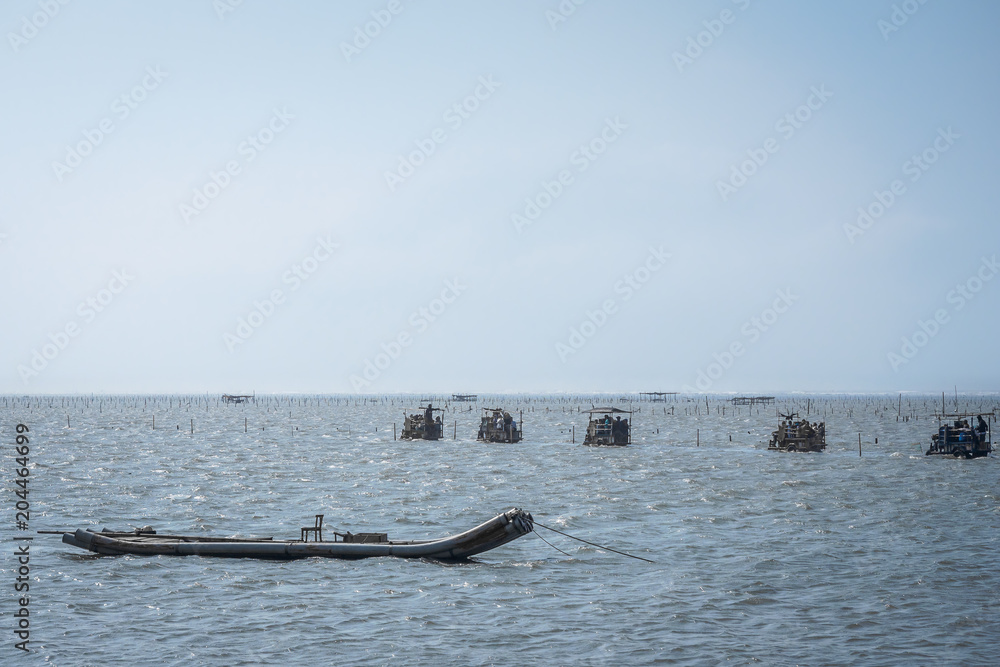 Tourists are joining the oyster truck tour on oyster farm in Taiwan ...