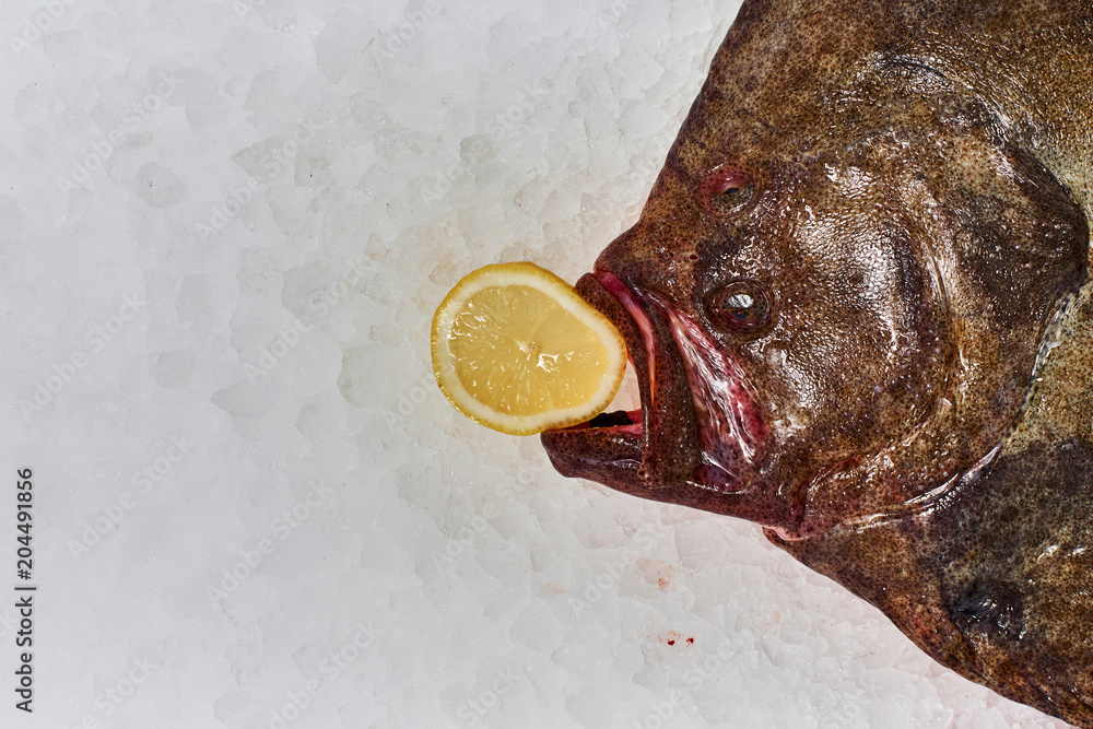 Foto de Sea food. Different types of Shrimp, snails, shellfish, fish ...