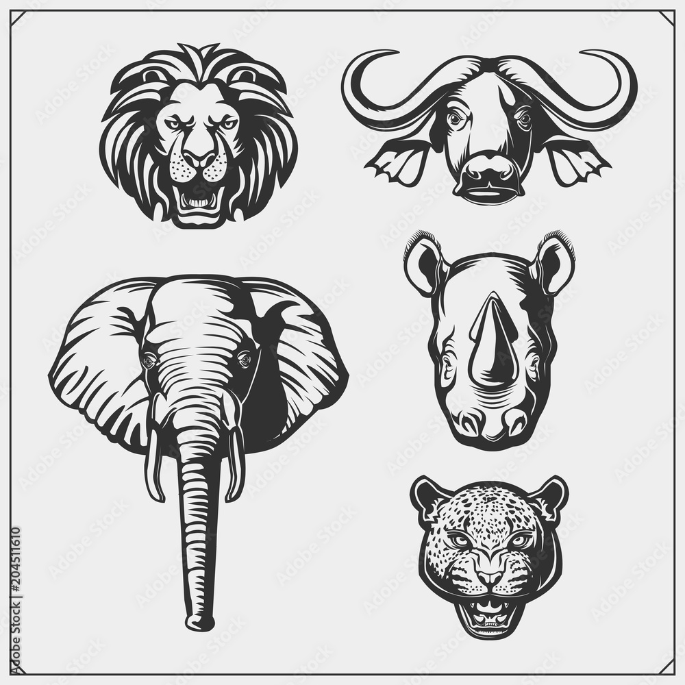 Set of Big Five animals. Lion, elephant, rhino, leopard and buffalo ...