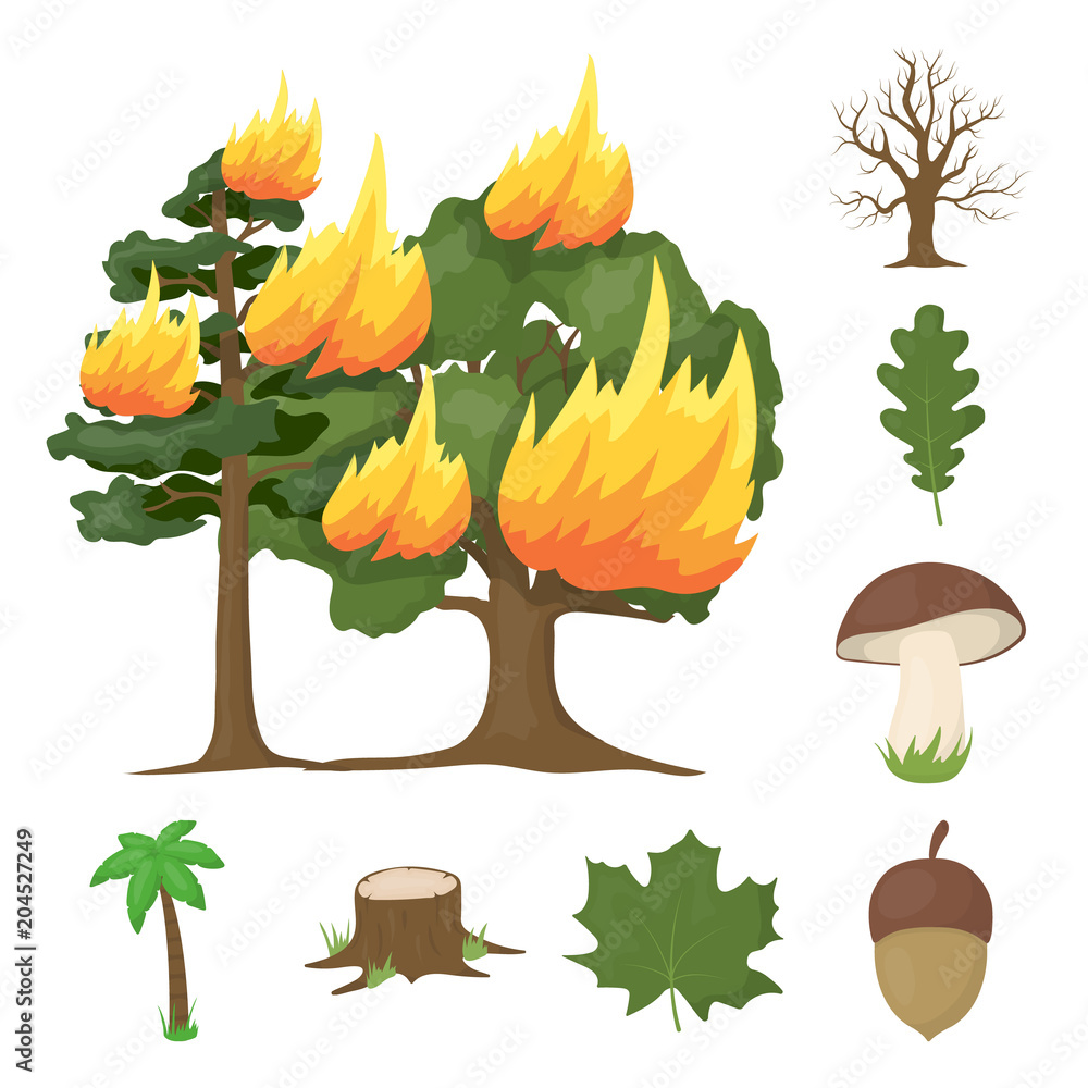 Forest and nature cartoon icons in set collection for design. Forest ...