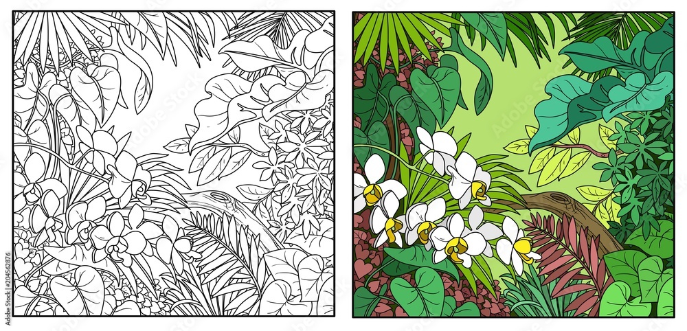 Wild jungle color and black contour line drawing for coloring on a ...