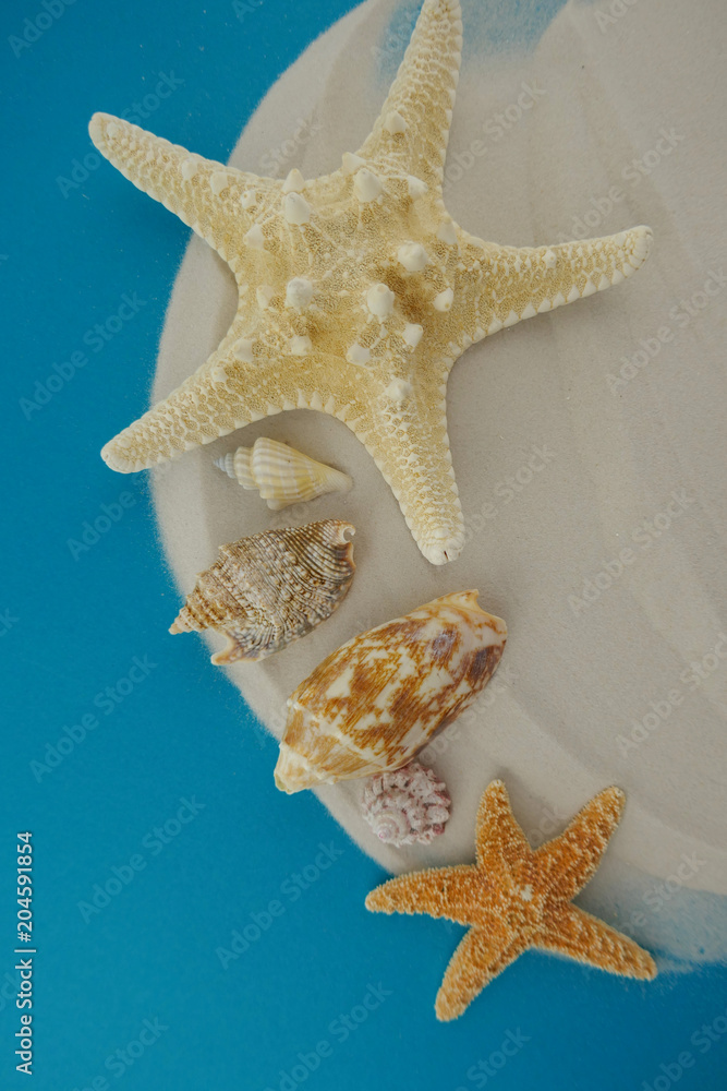 Summer sea flat lay. Summer mockup.Starfish and sea shell in the sand ...