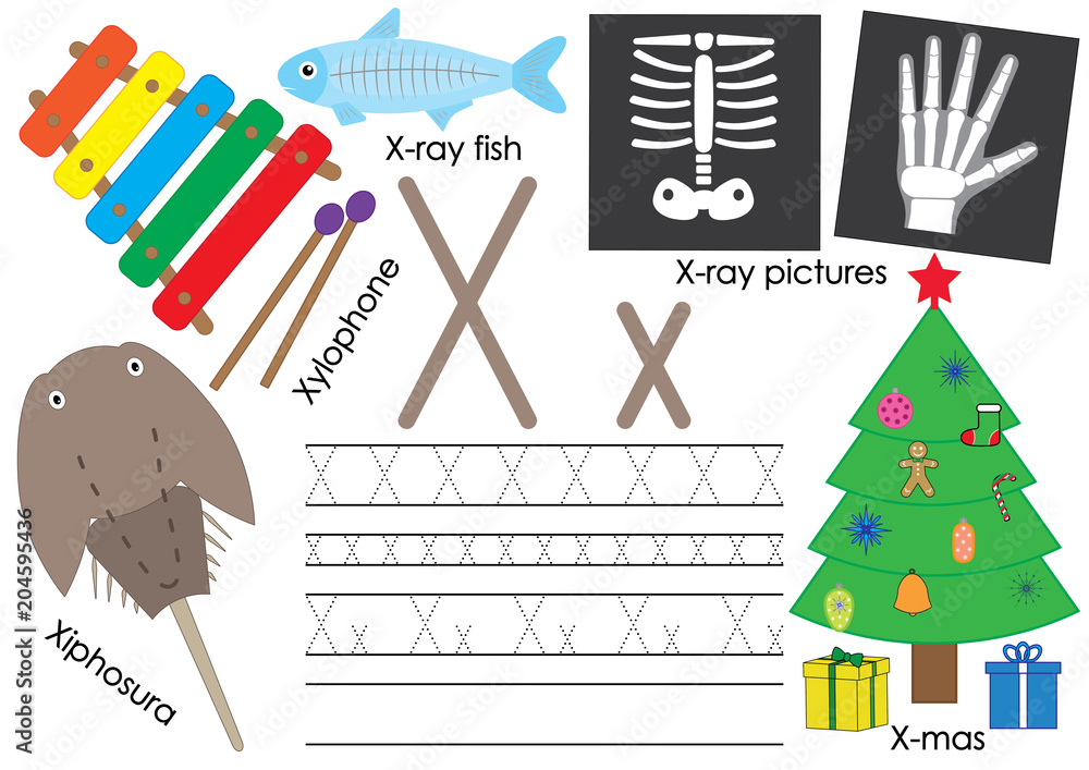 Letter X. Education for children. Learning English alphabet with ...