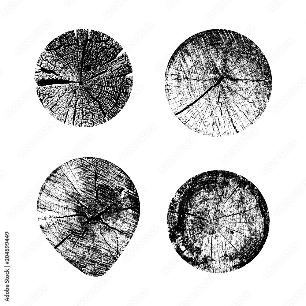 Set of tree rings background. For your design conceptual graphics ...
